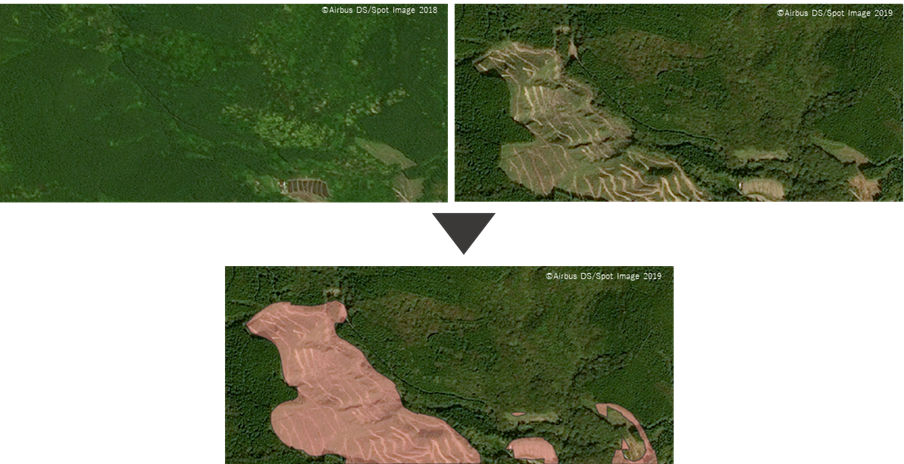 Forest Change Detection｜Other Satellite & Satellite Value-added Product｜ALOS-4/ALOS-2 Data ...